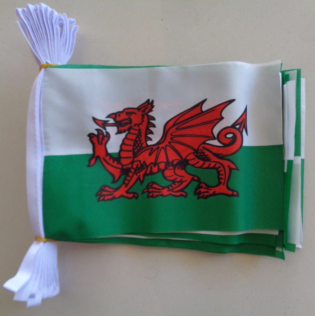 Wales Flag Bunting Polyester - Custom Flag Australia