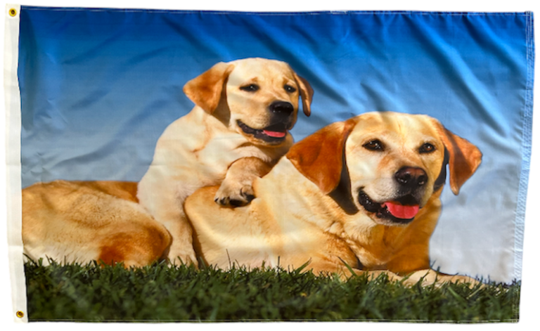 The 2 Labrador Dogs Flag 150 x 90cm - Custom Flag Australia